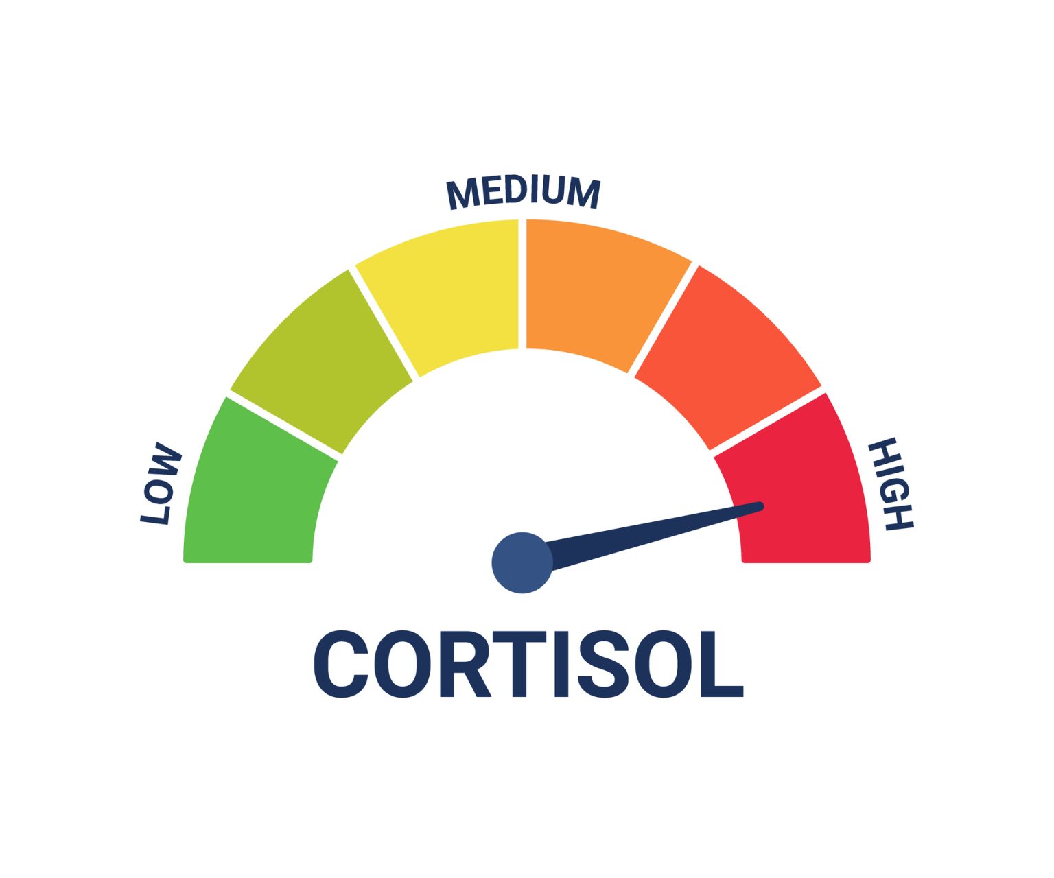 The Health Effects of High Cortisol Levels - Health BeatHealth Beat